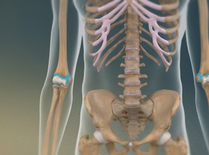 Growth Plate Injuries of the Elbow Piedmont Orthopedics | OrthoAtlanta